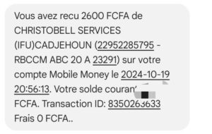 10 moyens de gagner de l’argent sur internet en Afrique · Radin Malin
