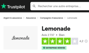 Lemonade Avis : l'assurance dès 4€/mois, qu'est-ce que ça cache ...